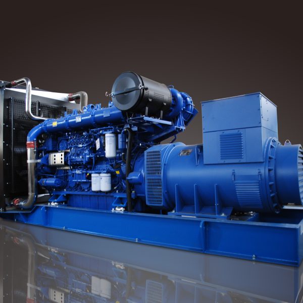 CONTAINER DIESEL GENERATOR - HYDL